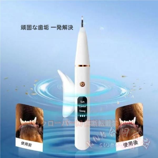 病院に行くのは困る、家でもペットの歯を洗うことができて、小さくて携帯できて、簡単に操作できる。【内容セット】口腔洗浄機*1 指歯ブラシ3個＋収納ケース×3