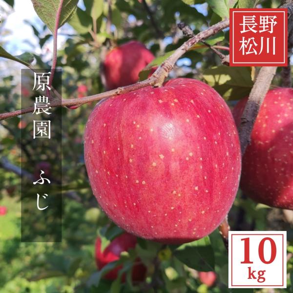 【発売日：2026年12月01日】【2026/11/下旬〜12/上旬より出荷開始。その後は一週間以内の出荷となります。】長野県松川町から【原農園】が林檎をお届けします。贈答用です。りんご農家さんが多数いるリンゴ産地、松川町はおいしいリンゴが...