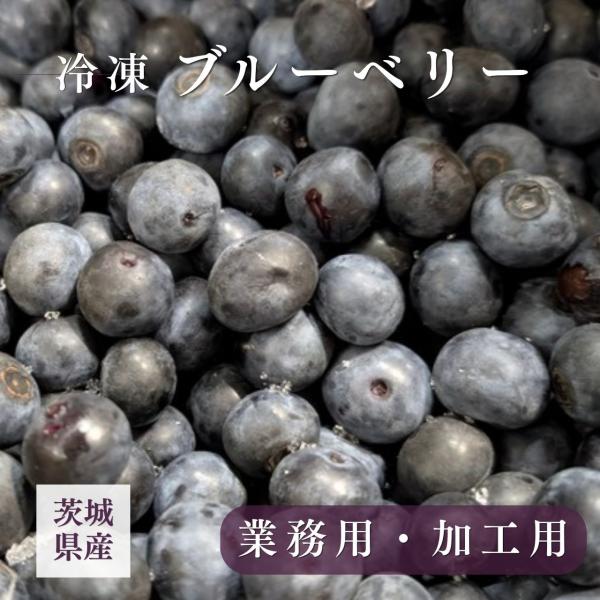 【通年販売。一週間以内の出荷となります。祝日休日は遅くなる可能性がございます。】茨城県の冷凍ブルーベリーをお届けします。業務用加工用で、色々なサイズのブルーベリーが入っています。農薬不使用で栽培したブルーベリーです。ジャムやケーキ、スムージ...