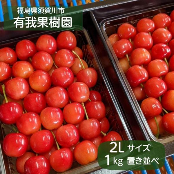 【発売日：2026年06月15日】【2026/6/中旬〜6/下旬の出荷となります】出荷は6/中旬を予定しておりますが、天候等の理由により前後する場合がございます。産地は福島県須賀川市。さくらんぼ・りんご・桃等が美味しく育つ果樹地帯。恵まれた...