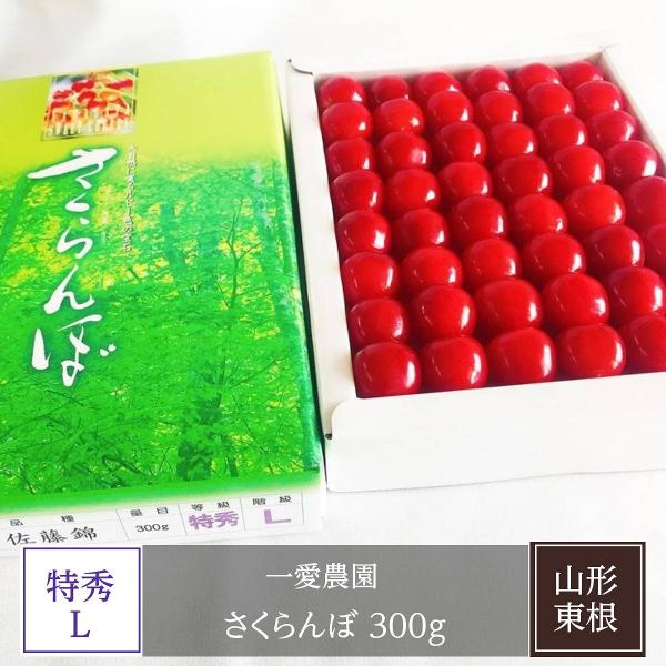 【発売日：2026年04月15日】【2026/4/上旬〜中旬より出荷開始。その後1週間以内の出荷となります】山形県東根市の【一愛農園】からサクランボをお届けします。普段お世話になっている方へさくらんぼの贈り物はいかがでしょうか？化粧箱のデザ...