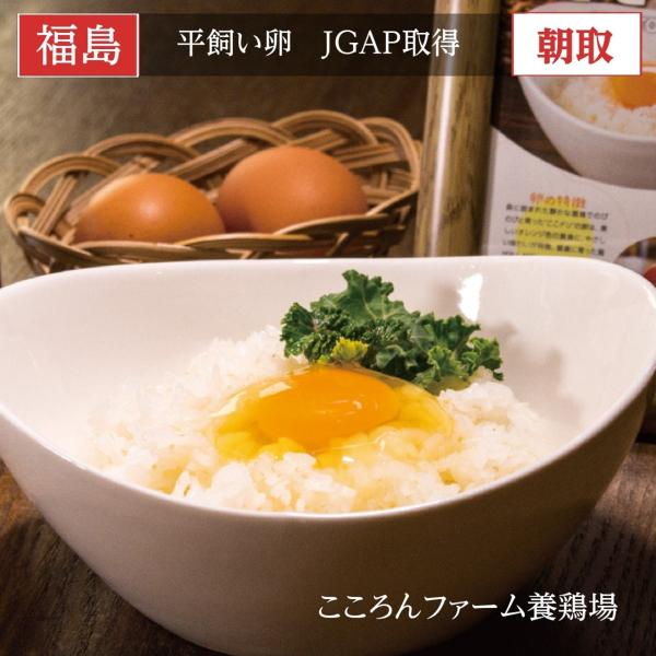 【お届け日について】こちらの商品はご注文より5日以内の出荷となります。Yahooのシステム上、お届け日が表示されますが、そのお日にちではございませんので、ご了承ください。【指定日がある場合は備考欄にご記載下さい。】福島県白河市の【こころんフ...