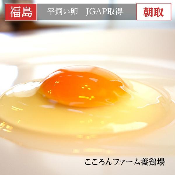 【お届け日について】こちらの商品はご注文より5日以内の出荷となります。Yahooのシステム上、お届け日が表示されますが、そのお日にちではございませんので、ご了承ください。【指定日がある場合は備考欄にご記載下さい。】福島県白河市の【こころんフ...