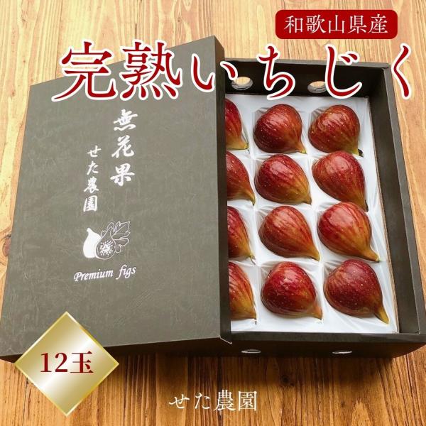 【発売日：2026年08月20日】【2026/8/中旬〜8/下旬より出荷開始。その後は7日以内の出荷となります。】【北海道・沖縄県への配送は未対応となっております。】和歌山県岩出市の【せた農園】からいちじくをお届けします。和歌山県は無花果の...