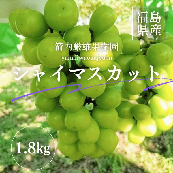 【発売日：2026年10月01日】【2026/10/上旬〜10/中旬の出荷。】福島県須賀川市の【箭内厳雄果樹園】から葡萄のシャインマスカットをお届けします。箭内厳雄果樹園では、手間と時間を惜しまず一房ずつ丁寧に袋掛けを行い、状態を細かく見極...
