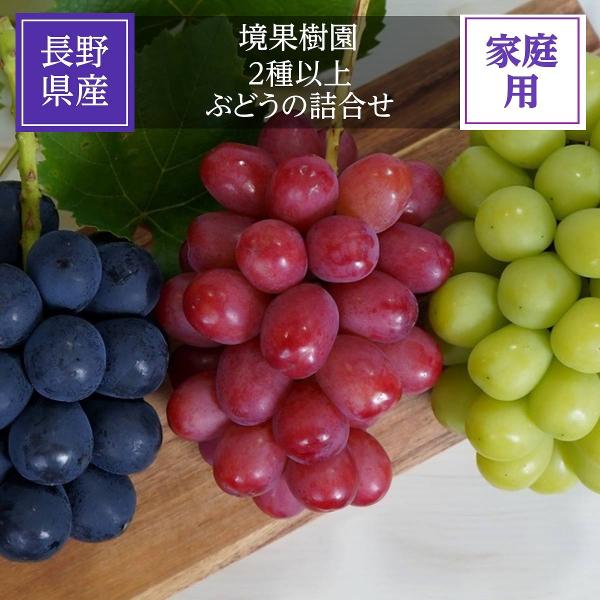 【発売日：2026年09月25日】【2026/9/下旬〜10/上旬より出荷。その後は1週間以内の出荷です。】長野県須坂市の【境果樹園】よりぶどうをお届けします。そのとき採れるおすすめのぶどうを詰め合わせたセットです。2種類以上(同じ品種が2...
