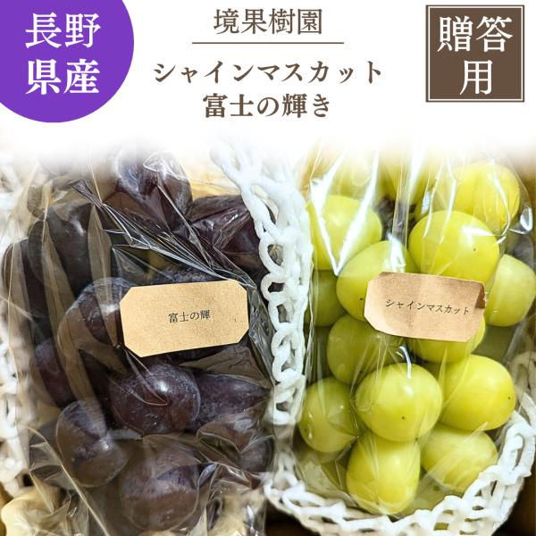【発売日：2026年10月07日】【2026/10/上旬〜10/中旬より出荷。その後は1週間以内の出荷となります。】長野県須坂市の【境果樹園】よりぶどうをお届けします。境果樹園では10品種以上のぶどうを栽培しています。粒の大きさ、酸味、甘み...