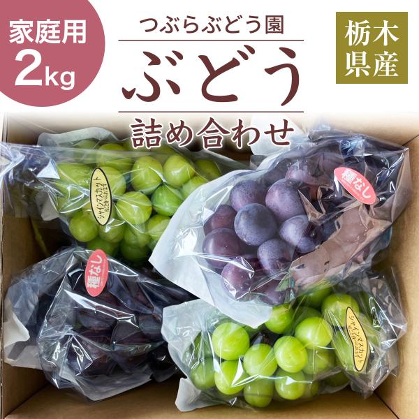 【発売日：2026年07月10日】【2026/7/上旬〜7/中旬より出荷開始。その後は1週間以内の出荷となります。】栃木県栃木市の【つぶらぶどう園】よりぶどうをお届けします。栃木県栃木市大平町は、ぶどう栽培が盛んな土地です。水はけのよい急斜...