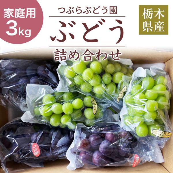 【発売日：2026年07月10日】【2026/7/上旬〜7/中旬より出荷開始。その後は1週間以内の出荷となります。】栃木県栃木市の【つぶらぶどう園】よりぶどうをお届けします。栃木県栃木市大平町は、ぶどう栽培が盛んな土地です。水はけのよい急斜...