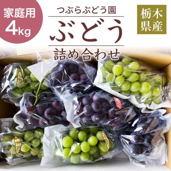 【発売日：2026年07月10日】【2026/7/上旬〜7/中旬より出荷開始。その後は1週間以内の出荷となります。】栃木県栃木市の【つぶらぶどう園】よりぶどうをお届けします。栃木県栃木市大平町は、ぶどう栽培が盛んな土地です。水はけのよい急斜...