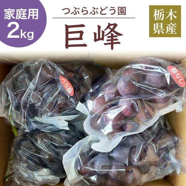 【発売日：2026年07月10日】【2026/7/上旬〜7/中旬より出荷開始。その後は1週間以内の出荷となります。】栃木県栃木市の【つぶらぶどう園】よりぶどうをお届けします。栃木県栃木市大平町は、ぶどう栽培が盛んな土地です。水はけのよい急斜...