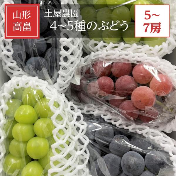 【発売日：2026年09月15日】【2026/9/中旬〜9/下旬より出荷開始。その後は1週間以内の出荷となります。】山形県高畠町の【土屋農園】から葡萄をお届けします。まほろばの里（周囲が山々に囲まれた平地で、実り豊かな住みよい所という意）高...
