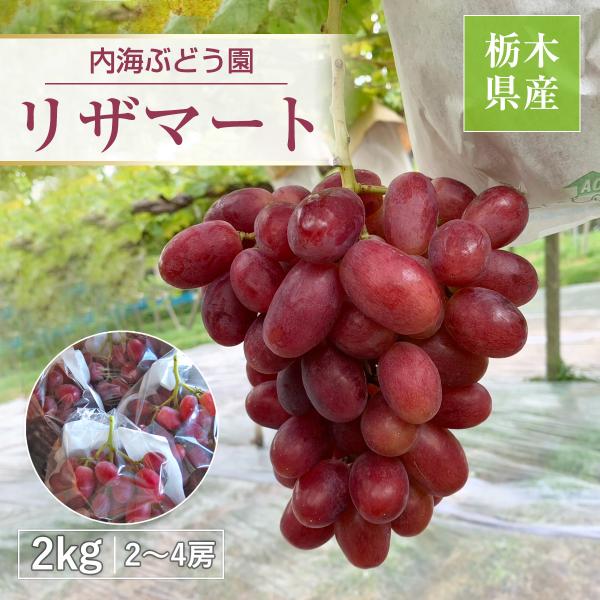 【発売日：2026年08月25日】【2026/8/中旬〜8/下旬の出荷となります。】栃木県栃木市の【内海ぶどう園】よりぶどうをお届けします。栃木市大平町は、ぶどう栽培が盛んな土地です。水はけのよい急斜面と春夏の気候が温暖といった、ぶどう栽培...