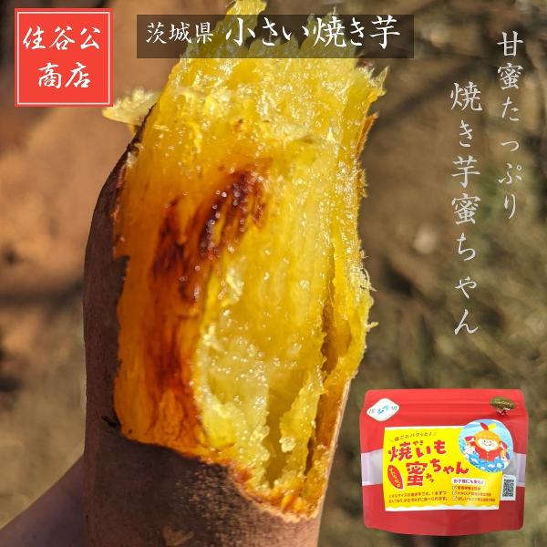 【一週間以内の出荷となります。】茨城県ひたちなか市の【住谷公商店】よりほしいもをお届けします。蜜たっぷりの焼き芋です。冷凍してありますので、好きな時にレンジで食べられます。小さい食べきりサイズなので、ちょっとしたおやつに最適です。茨城県ひた...