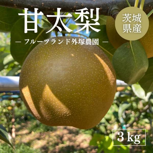【発売日：2026年10月01日】【2026/9/下旬〜10/上旬の出荷となります。】茨城県かすみがうら市【フルーツランド外塚(とつか)農園 】より梨をお届けします。筑波山の南東に広がるかすみがうら市は、古くから梨づくりが盛んな土地。水はけ...