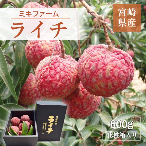 【発売日：2026年07月20日】【2026/7/上旬〜7/下旬の間に出荷となります。】【日付指定は未対応（不在の日がありましたら備考欄に記載して下さい）。】宮崎県高鍋町の【ミキファーム】よりライチをお届けします。希少な国産ライチの贅沢。国...