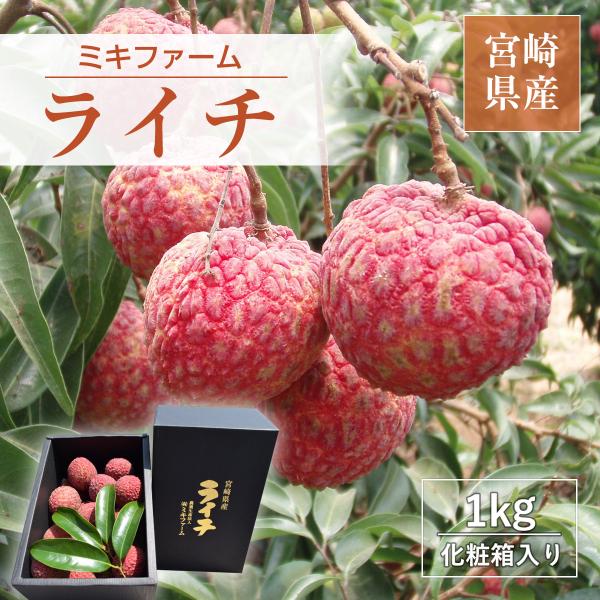 【発売日：2026年07月20日】【2026/7/上旬〜7/下旬の間に出荷となります。】【日付指定は未対応（不在の日がありましたら備考欄に記載して下さい）。】宮崎県高鍋町の【ミキファーム】よりライチをお届けします。希少な国産ライチの贅沢。国...