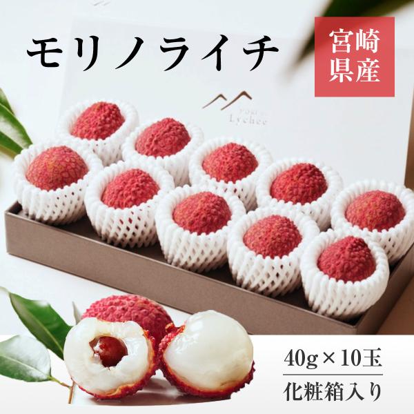 【発売日：2026年06月20日】【2026/6/下旬〜7/中旬の間での出荷。】【日付指定は未対応（不在の日がありましたら備考欄に記載して下さい）】宮崎県の【森緑園】よりライチをお届けします。南国宮崎の温暖な気候と豊かな太陽の下、愛情たっぷ...