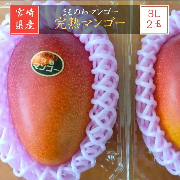 【発売日：2026年05月08日】【2026/5/上〜5/中より出荷開始。その後は1週間以内の出荷となります。】宮崎県宮崎市の【まるのわマンゴー】からマンゴーをお届けします。宮崎県のマンゴーは、樹上完熟ネット落下。樹の上で限界まで完熟し、自...
