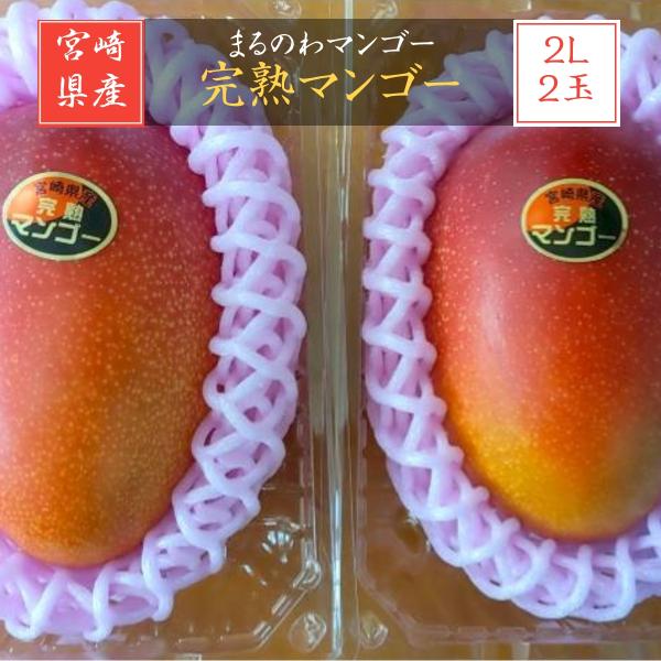 【発売日：2026年05月08日】【2026/5/上〜5/中より出荷開始。その後は1週間以内の出荷となります。】宮崎県宮崎市の【まるのわマンゴー】からマンゴーをお届けします。宮崎県のマンゴーは、樹上完熟ネット落下。樹の上で限界まで完熟し、自...