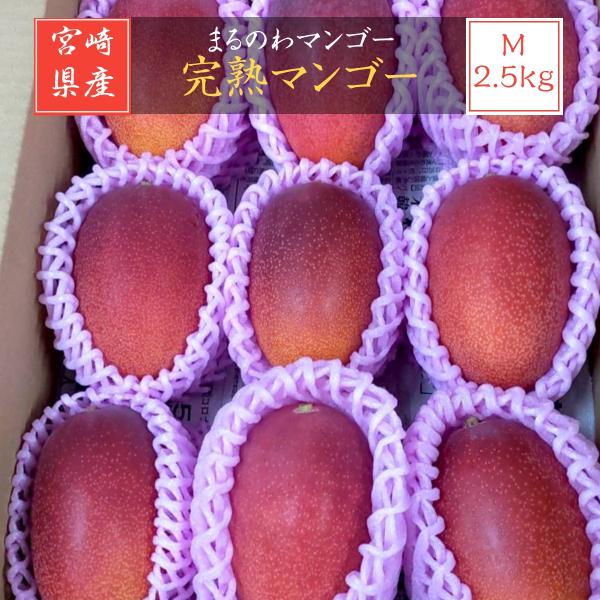 【発売日：2026年05月08日】【2026/5/上〜5/中より出荷開始。その後は1週間以内の出荷となります。】宮崎県宮崎市の【まるのわマンゴー】からマンゴーをお届けします。宮崎県のマンゴーは、樹上完熟ネット落下。樹の上で限界まで完熟し、自...