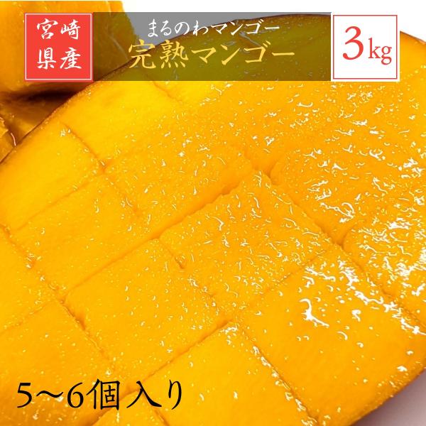 【発売日：2026年05月25日】【2026/5/下〜6/上より出荷開始。その後は1週間以内の出荷となります。】宮崎県宮崎市の【まるのわマンゴー】からマンゴーをお届けします。宮崎県のマンゴーは、樹上完熟ネット落下。樹の上で限界まで完熟し、自...