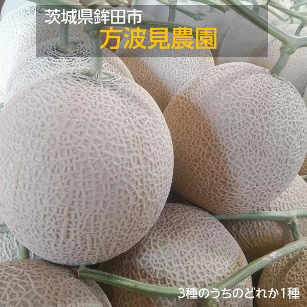 【発売日：2026年05月08日】【2026/5/上旬〜5/中旬より出荷開始。その後は10日以内の出荷】【母の日は生育次第で前後する可能性があります】【父の日は6/1〜6/13に出荷】茨城県鉾田市の【方波見農園】よりメロンをお届けします。方...