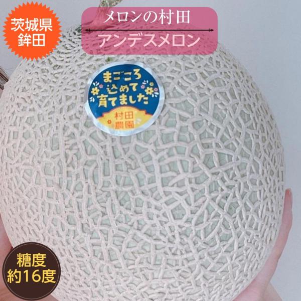 【発売日：2026年05月05日】【2026/5/上旬〜5/中旬より出荷となります。】【母の日用は2026/5/1〜5/9の出荷となります。】茨城県鉾田市【メロンの村田】からアンデスメロンをお届けします。贈答・ギフト用の2個入り3L〜4Lの...