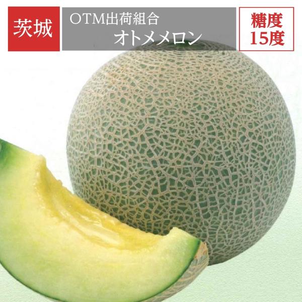 【発売日：2026年05月03日】【2026/4月下旬〜5月上旬より出荷となります。】【母の日用は5/7〜5/10の出荷となります。指定日は出来ません。】茨城県鉾田市・茨城町の【OTM出荷組合】からメロンをお届けします。メロン大国茨城からい...