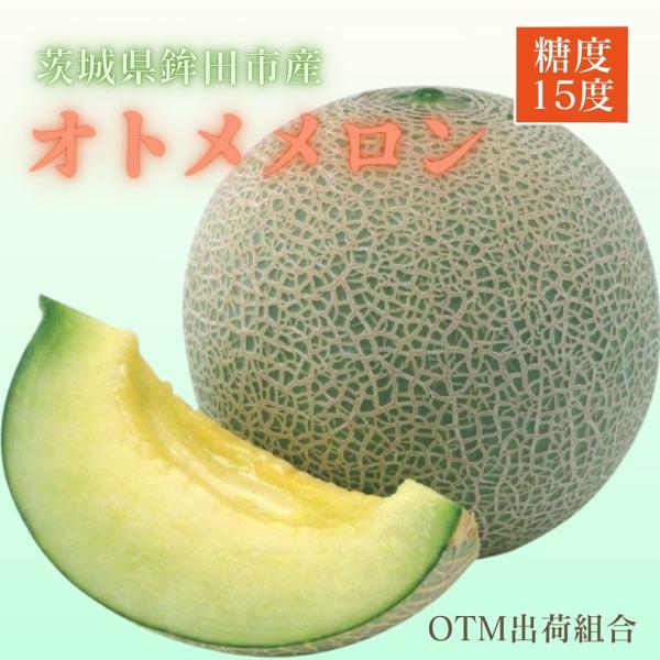 【発売日：2026年05月03日】【2026/4/下旬〜5/上旬より出荷となります。】【母の日用は5/1〜5/9の出荷となります。指定日は出来ません。】茨城県鉾田市・茨城町の【OTM出荷組合】からメロンをお届けします。メロン大国茨城からいち...