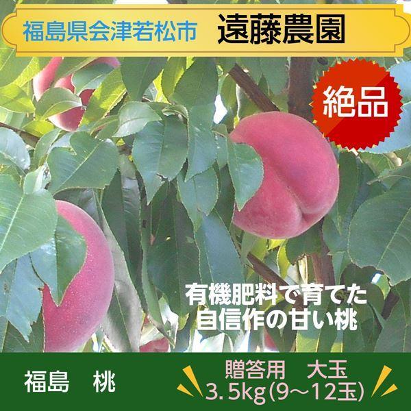 【発売日：2026年08月01日】【2026/7/下旬〜8/上旬から出荷開始。その後は一週間以内の出荷となります。】福島県会津若松市の【遠藤農園】より桃をお届けします。こちらは全部硬いももとなっております。かたい桃が好きな人の贈答用、または...