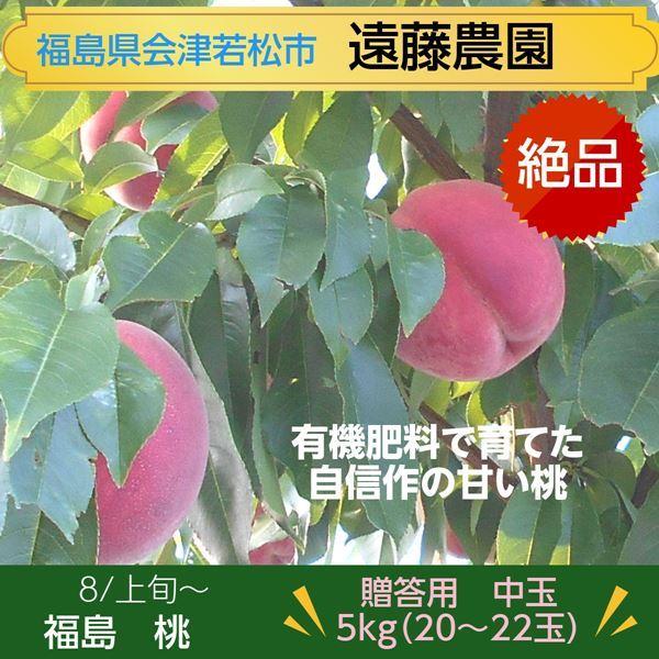 【発売日：2026年08月01日】【2026/7/下旬〜8/上旬から出荷開始。その後は一週間以内の出荷となります。】福島県会津若松市の【遠藤農園】より桃をお届けします。こちらは全部硬いももとなっております。かたい桃が好きな人の贈答用、または...