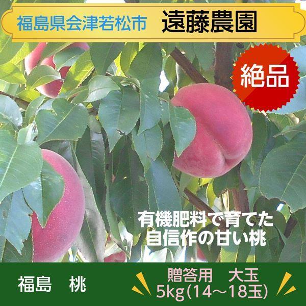 【発売日：2026年08月01日】【2026/7/下旬〜8/上旬から出荷開始。その後は一週間以内の出荷となります。】福島県会津若松市の【遠藤農園】より桃をお届けします。こちらは全部硬いももとなっております。かたい桃が好きな人の贈答用、または...