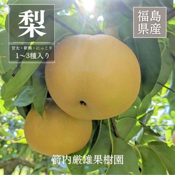 【発売日：2026年11月01日】【2026/10/下旬〜11/上旬より出荷開始。その後は1週間以内の出荷となります。】福島県須賀川市の【箭内厳雄果樹園】より梨をお届けします。品種は、甘太 新興 にっこりで、その中から1種〜3種を出荷します...