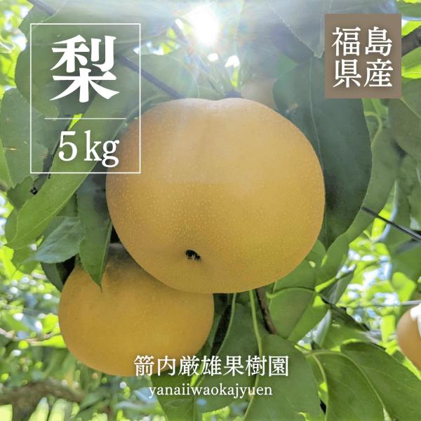 【発売日：2026年11月01日】【2026/11/上旬〜11/中旬より出荷開始。その後は1週間以内の出荷となります。】福島県須賀川市の【箭内厳雄果樹園】より梨をお届けします。品種は、甘太・新興・にっこりなどの品種をおまかせで一種類お届けし...