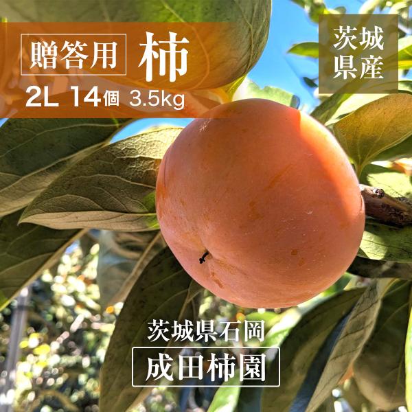 【発売日：2026年11月15日】【2026/11/上旬〜11/中旬より出荷開始。その後は一週間以内の出荷となります。】茨城県石岡市やさと地区より【成田柿園】が柿をお届けします。茨城県のほぼ中心部、筑波山の東側に位置する石岡市八郷地区（旧・...