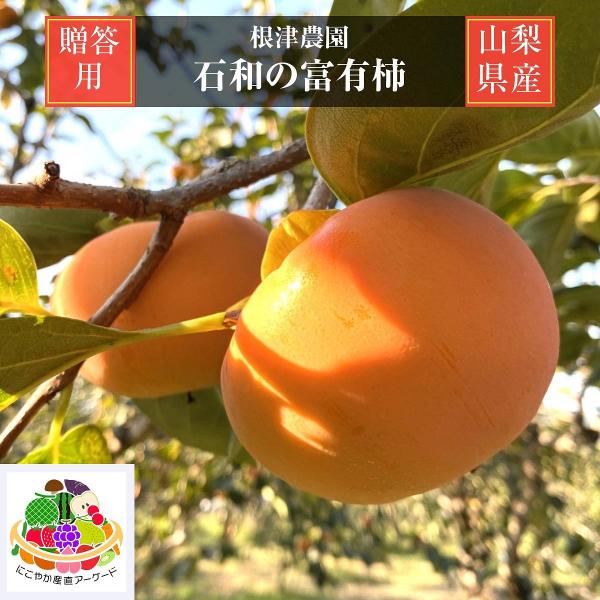 【発売日：2026年11月02日】【2026/10/下旬〜11/上旬の出荷となります。】山梨県笛吹市の【根津農園】より柿をお届けします。石和の富有柿は、山梨県笛吹市石和町で栽培されている富有柿です。昼夜の寒暖差が大きく、水はけの良い土壌で育...