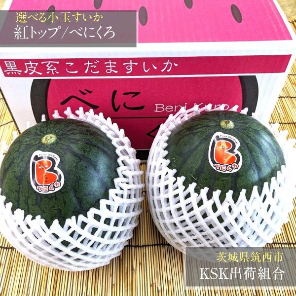 【発売日：2026年05月08日】【予約分は2026/5/6〜5/中旬より出荷。その後は5/中旬〜5/下旬の出荷となります。】【父の日 6/5〜6/20出荷】茨城県筑西市の【KSK出荷組合】より西瓜をお届けします。小玉すいかの2個入りになり...