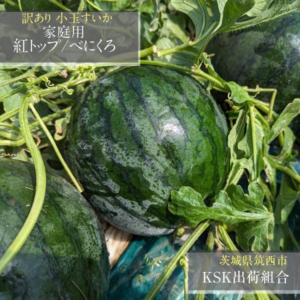 【発売日：2026年05月08日】【予約分は2026/5/6〜5/中旬より出荷。その後は5/中旬〜5/下旬の出荷となります。】茨城県筑西市の【KSK出荷組合】より西瓜をお届けします。こちらの商品は、訳あり・ご家庭用となっております。キズあり...