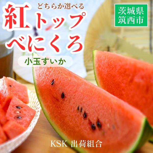 【発売日：2026年05月08日】【予約分は2026/5/6〜5/中旬より出荷。その後は5/中旬〜5/下旬の出荷となります。】【指定日は育成の状況でできない可能性があります。】茨城県筑西市の【KSK出荷組合】より西瓜をお届けします。小玉すい...