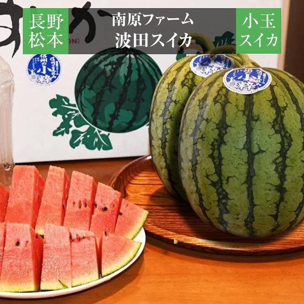 【発売日：2026年07月15日】【2026/7/上旬〜7/中旬より出荷開始。その後は1週間以内の出荷となります。】長野県松本市の【南原ファーム】より西瓜をお届けします。こちらの商品は小玉スイカ（品種：ピノガール）種が気にならず、そのまま食...