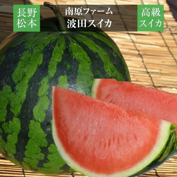 【発売日：2026年07月22日】【2026/7/中旬より出荷開始。その後は1週間以内の出荷となります。】長野県松本市の【南原ファーム】より西瓜をお届けします。こちらの商品は、以下の4種類のうちどれかになります。黒玉スイカ　信州の幕開（ピノ...