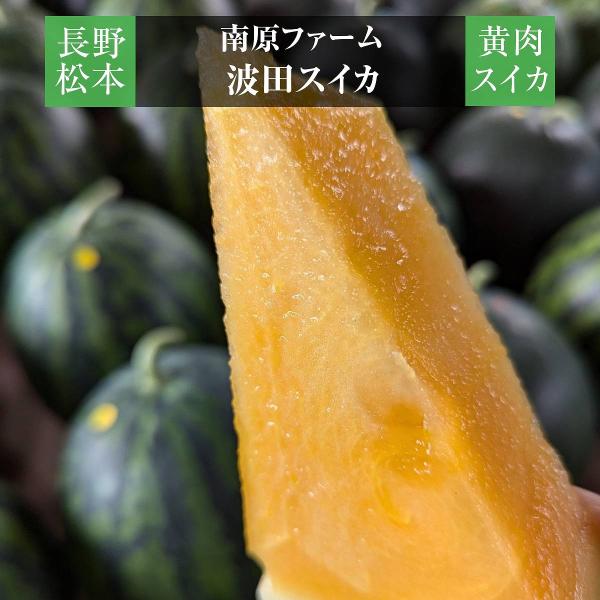 【発売日：2026年07月22日】【2026/7/中旬より出荷開始。その後は1週間以内の出荷となります。】長野県松本市の【南原ファーム】より西瓜をお届けします。こちらの商品は、以下の黄肉スイカのうちどちらかになります。信州の涼み（サンダーボ...