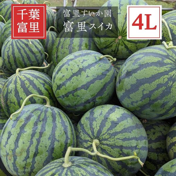 【発売日：2026年06月01日】【2026/5/下旬〜6/上旬より出荷開始。その後は一週間以内の出荷となります。】【父の日用は6/1〜6/20の出荷となります。】千葉県富里市の【富里すいか園】より西瓜をお届けします。スイカの生産量2位の千...