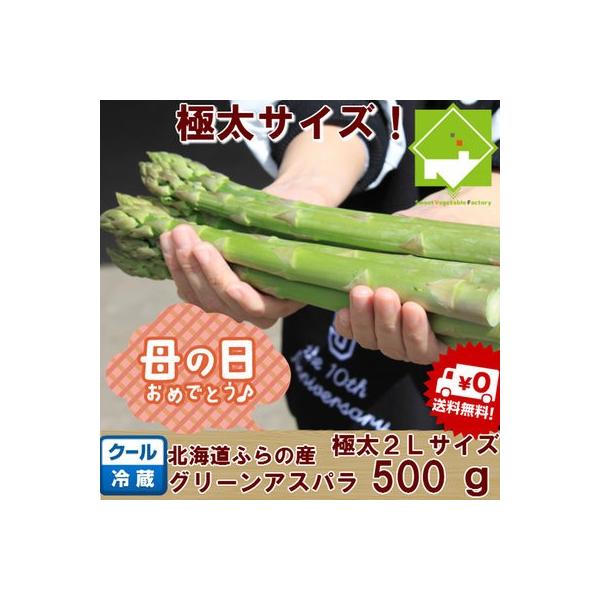 *************************※別途送料が発生する地域がございます。サイズ：２Ｌサイズ内容量：５００ｇカーネーション（造花）付き*************************