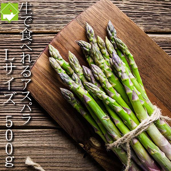 【発売日：2026年04月05日】産地：北海道富良野産名称：アスパラガス内容量：500ｇサイズ：Lサイズ（１本20ｇ前後）****************************配送時期：４月上旬から５月上旬****************...