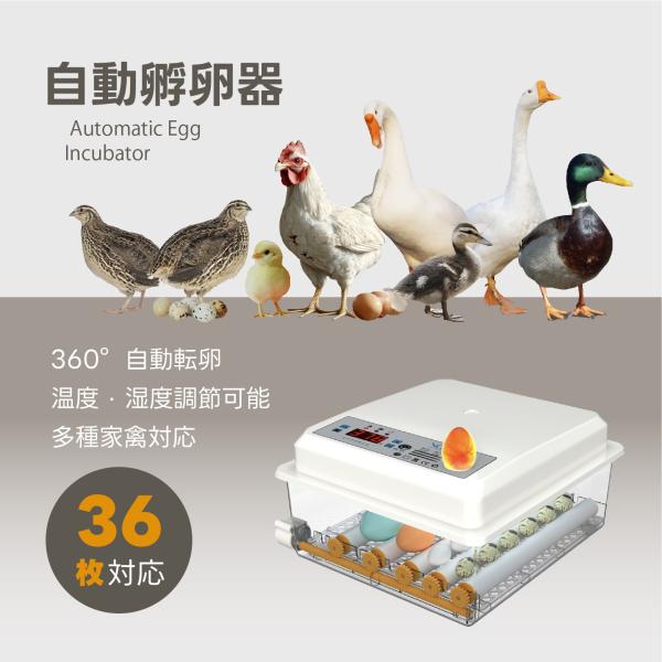 【温度と湿度の制御範囲】 温度制御範囲は0〜99.9℃（精度±0.1℃）、湿度制御範囲は0〜99%RH（精度±4%RH）と幅広く、あらゆる孵卵ニーズに対応可能です。【多種家禽対応】ワンボタン孵卵設定機能を搭載し、鶏・アヒル・ガチョウ・鳩など...
