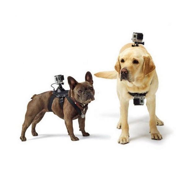 犬の視点を通した世界を撮影するのに必須のハーネスマウント。クイックリリース式のベースマウントでカメラの取付け・取外しも楽々です。