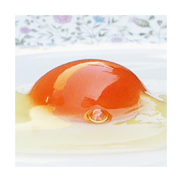 風水では「大寒」の日に生まれた卵を食べるとその年の金運がアップすると説かれています。今年の大寒は1月20日（火）です。この大寒の日に生まれた「大寒卵（宝友卵）」をお届けします。種　　類：大寒卵（鶏卵／赤玉特殊卵）入 り 数：10個i入り x...