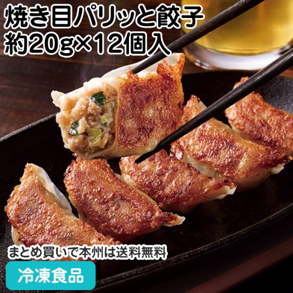 【冷凍商品】【業務用】【業務用食材】【7,990円以上ご購入で送料無料】【食彩ネットショップ】うす皮にギュッとつめた国産肉使用のジューシーな具、パリッとした焼き目が楽しめる最もおいしいバランスの餃子です。油を使わずに誰でも上手に焼くことがで...